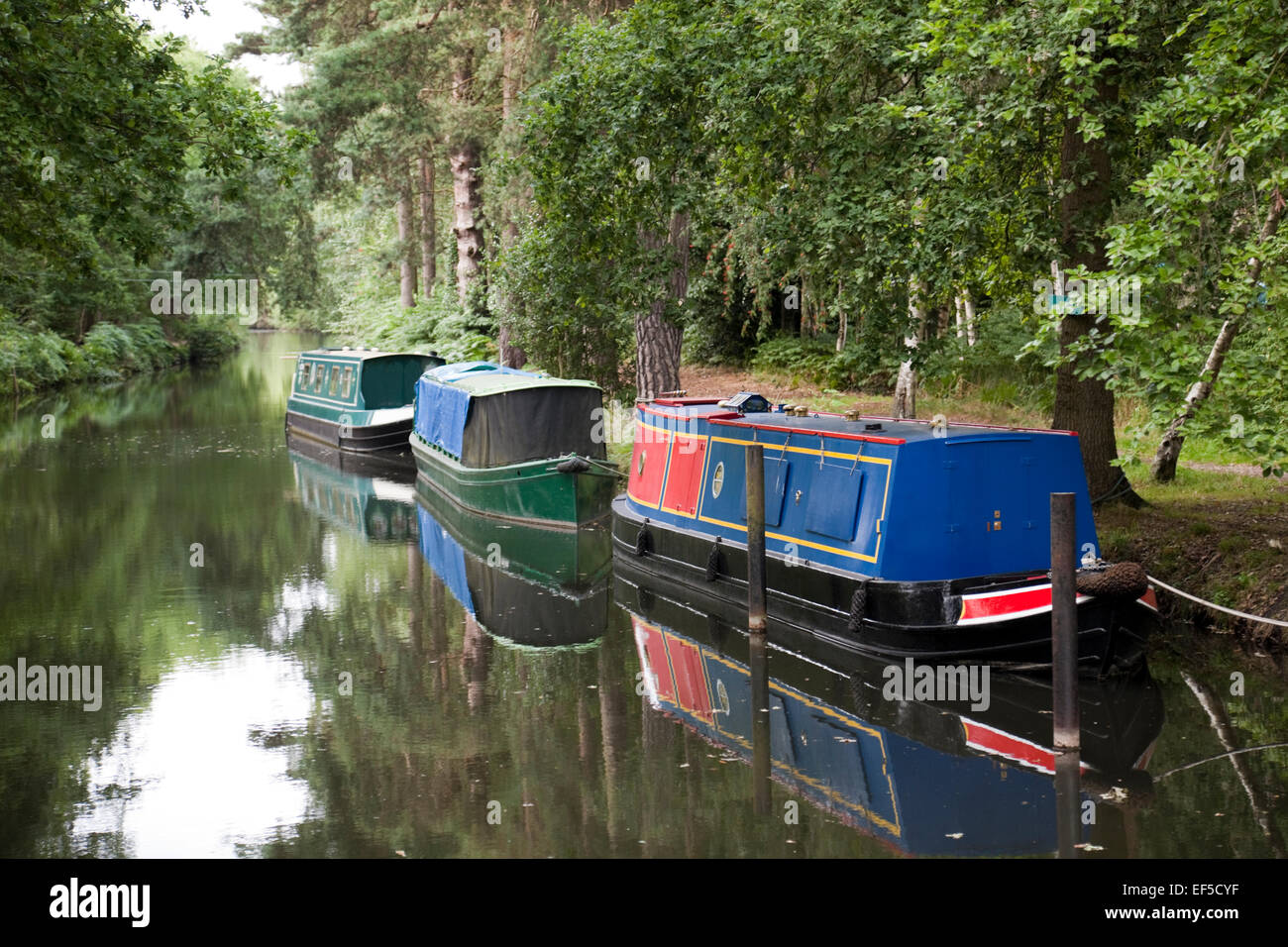 Long boats on the canal hi-res stock photography and images - Alamy
