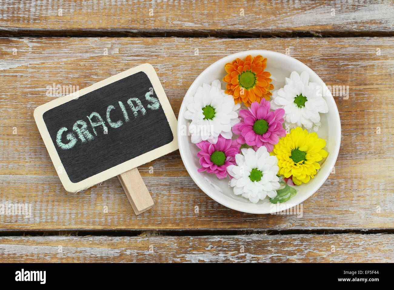 Gracias card with colorful santini flowers Stock Photo - Alamy