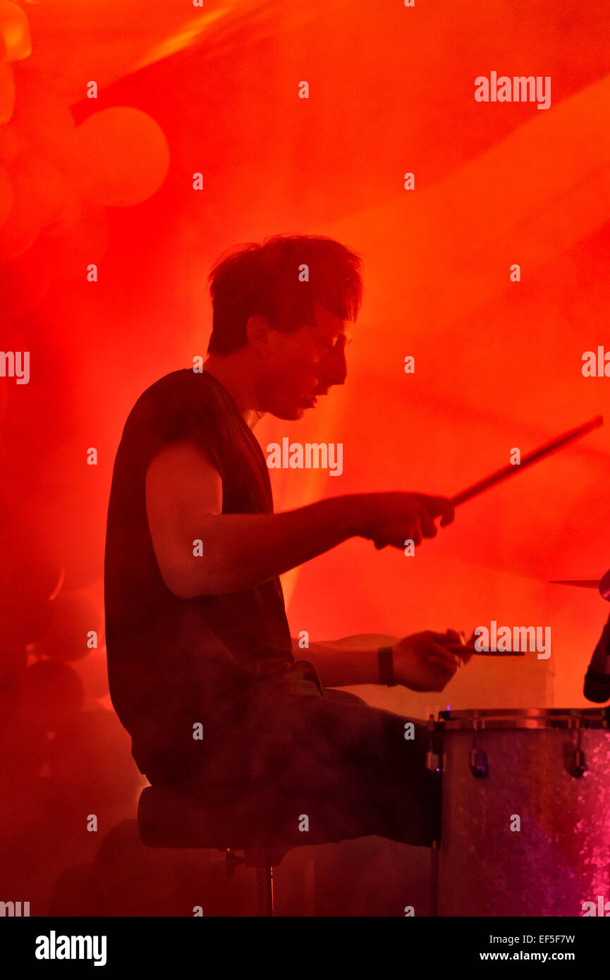 Musician sheep hi-res stock photography and images - Alamy