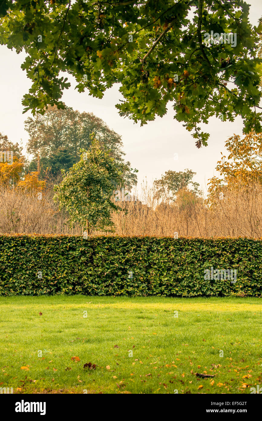 Large Tall Green Hedge High Resolution Stock Photography and Images - Alamy