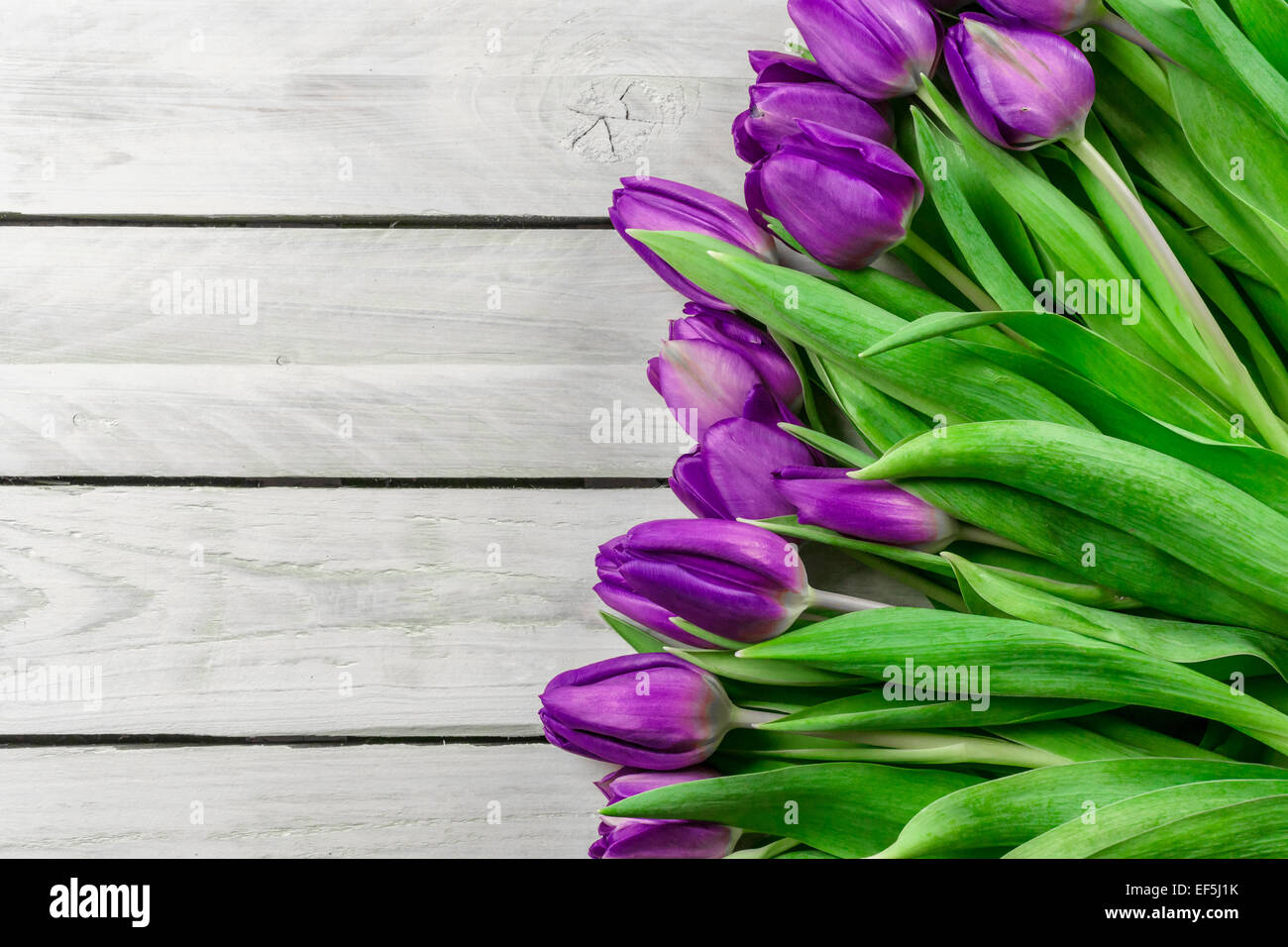 Wooden background tulip flowers hi-res stock photography and images - Alamy