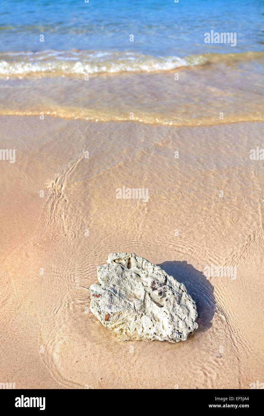 Vertical nature pattern hi-res stock photography and images - Alamy