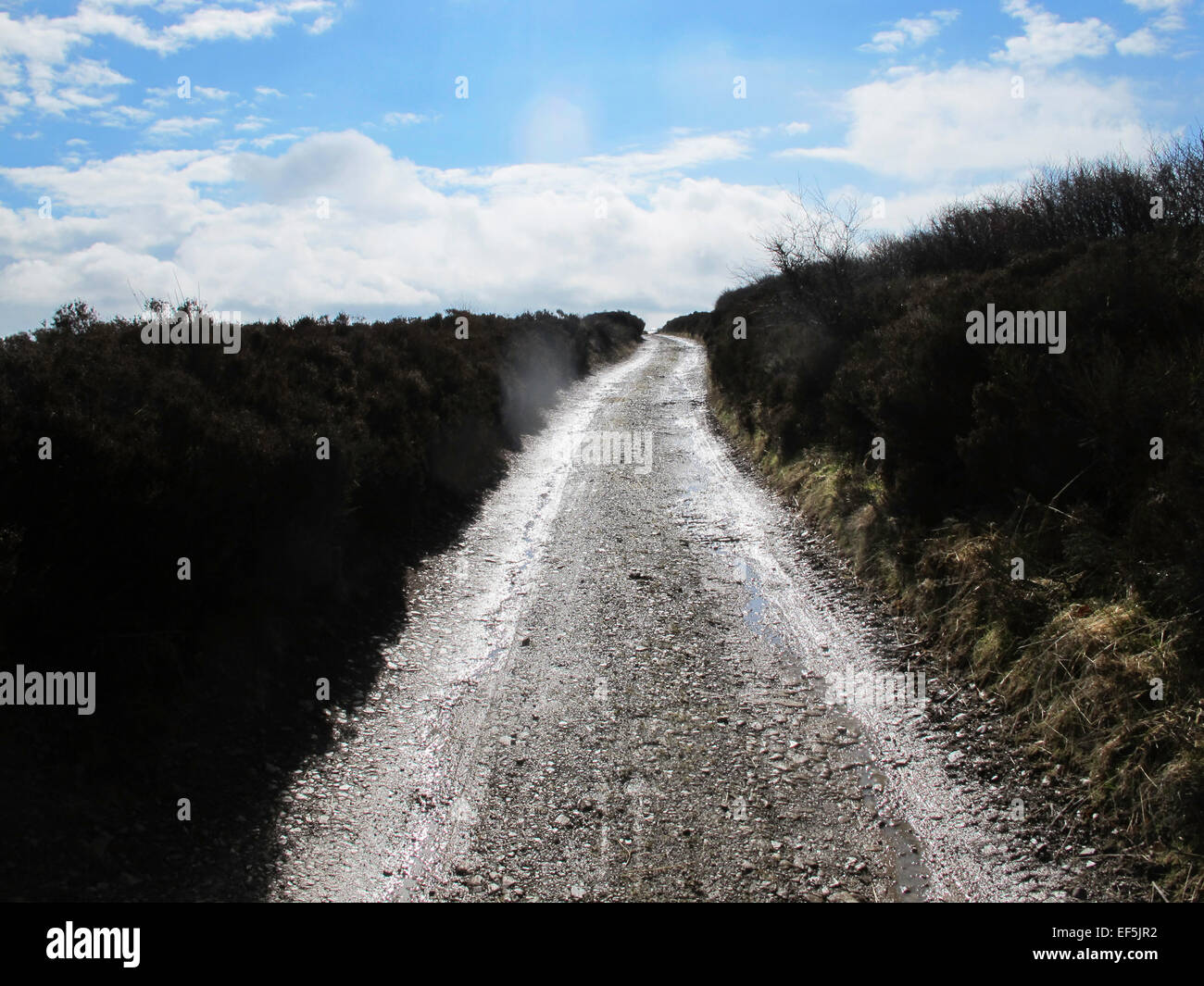 a road or pathway empty of people Stock Photo - Alamy
