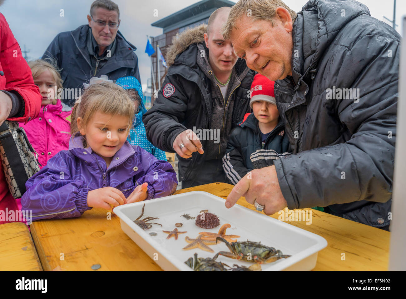 Children kids learning hi-res stock photography and images - Alamy