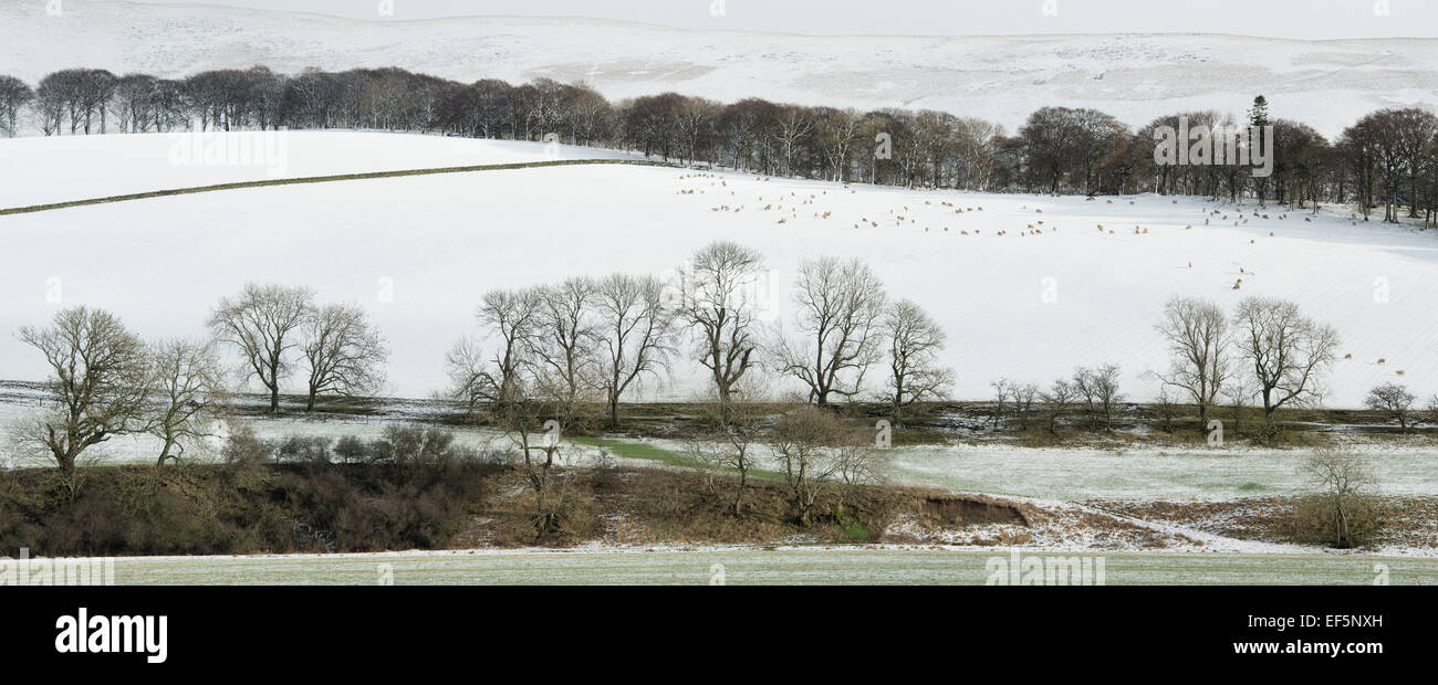 Hill field hi-res stock photography and images - Alamy