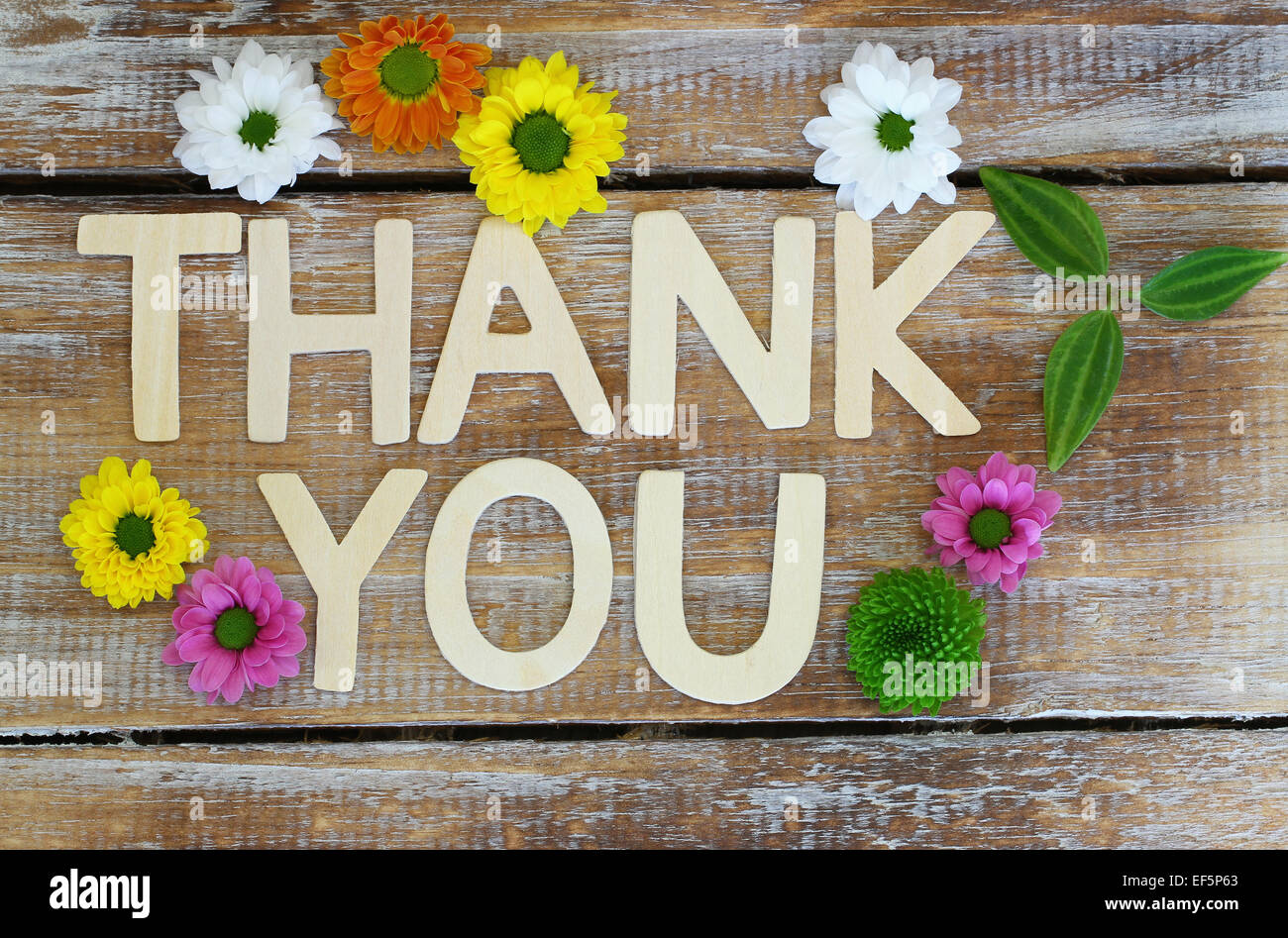 Thank you written with wooden letters and santini flowers Stock Photo ...