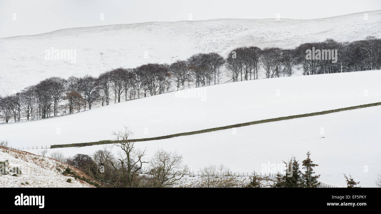 Field and trees in the winter snow. Peebleshire. Scotland Stock Photo ...