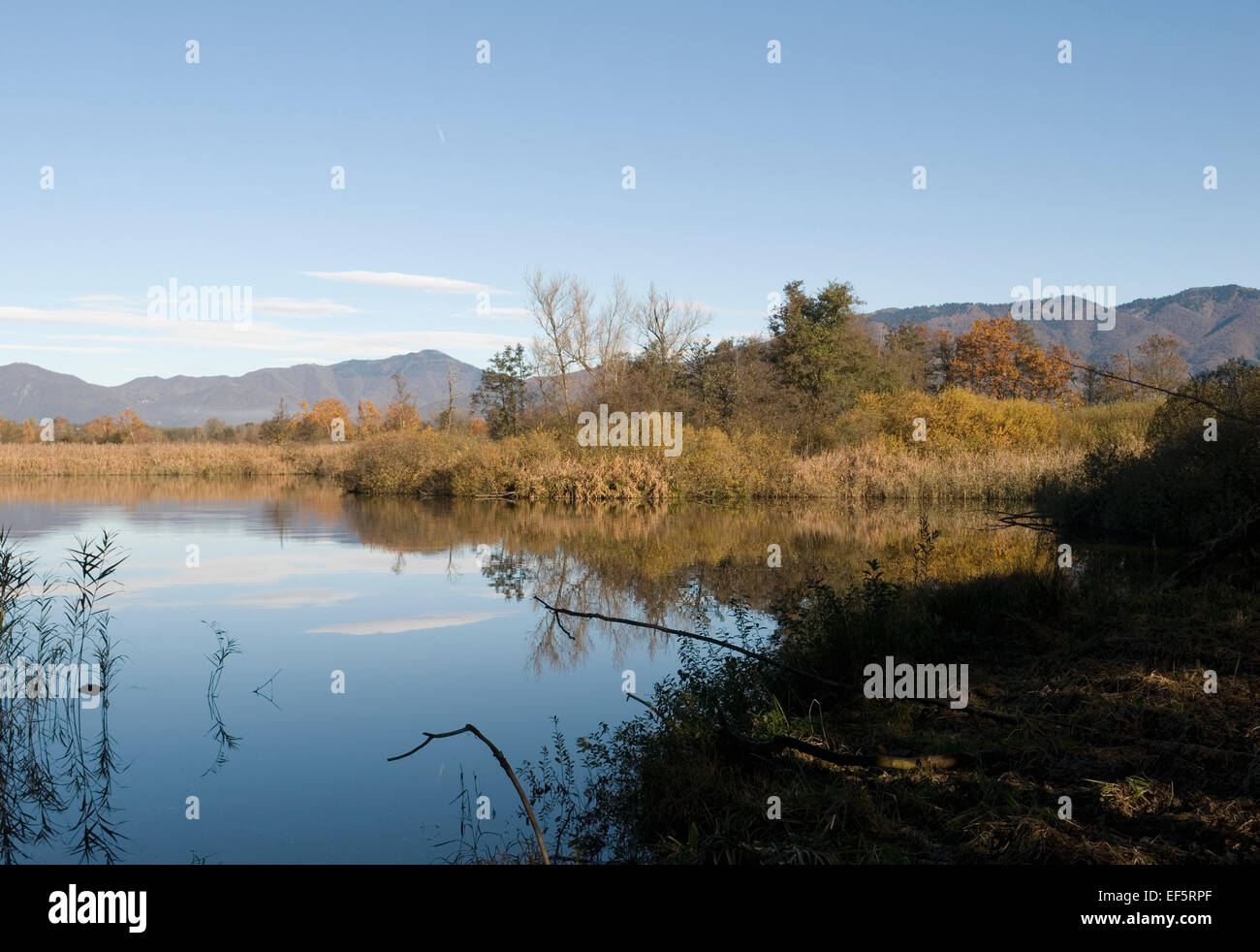 Italy wetland nature natural location landscape hi-res stock ...