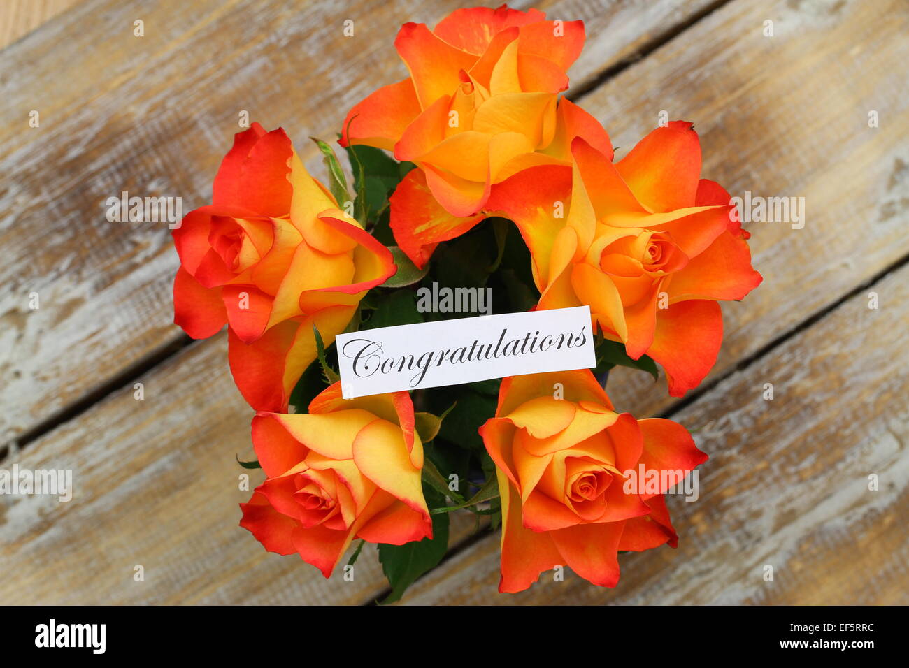 Congratulations card with orange roses bouquet Stock Photo - Alamy