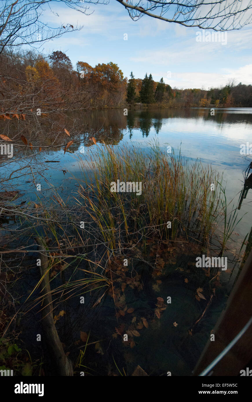 lake and trees in the fall Stock Photo - Alamy