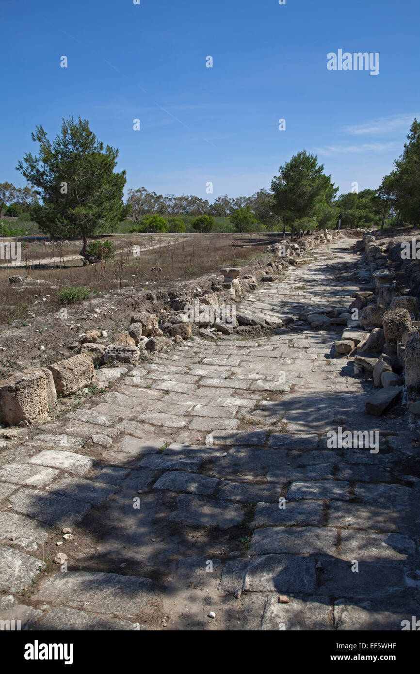 Paved Roman Road at Salamis near Famagusta Stock Photo - Alamy