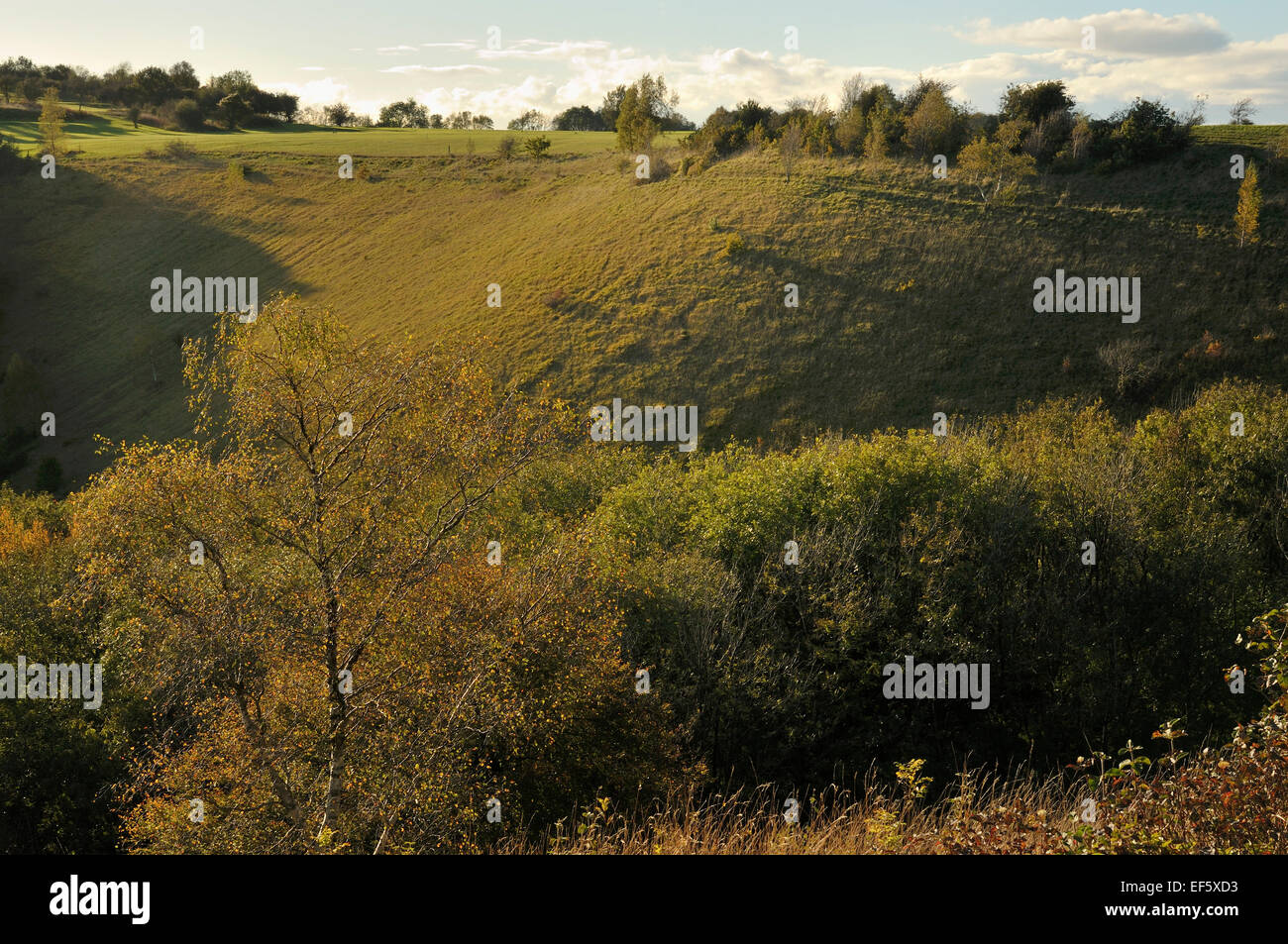 Hollow Combe Autumn colours, Stinchcombe Hill, Dursley Stock Photo - Alamy