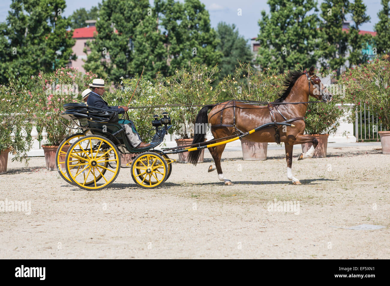International competition for traditional carriages "La Venaria Reale ...