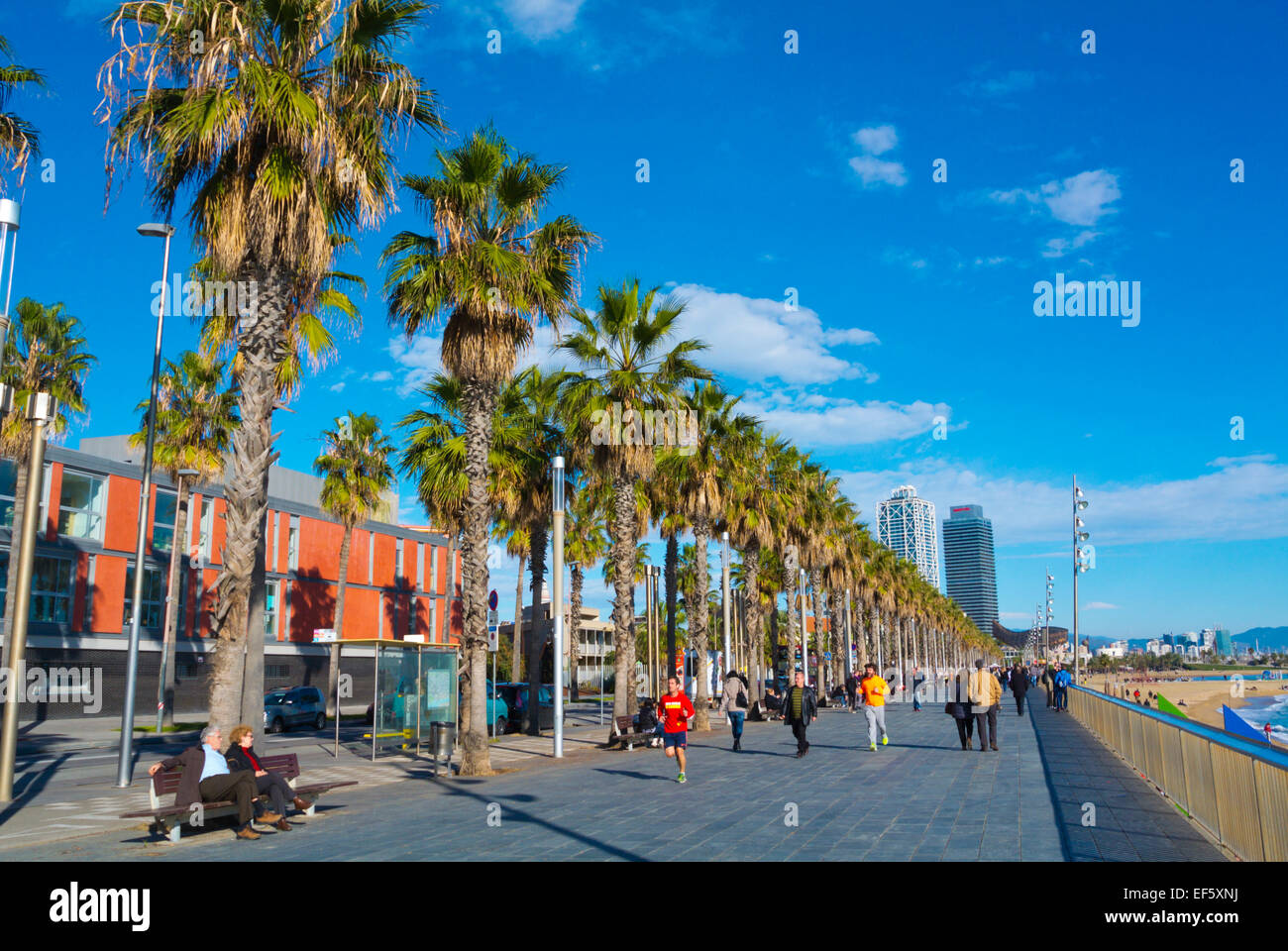 Passeig Maritim seaside promenade, Barceloneta, Barcelona, Spain Stock ...