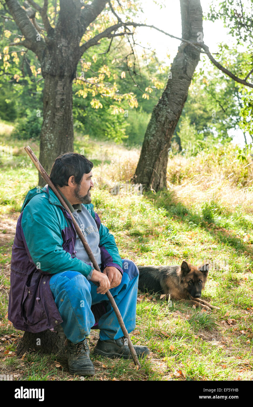 Gypsy dog hi-res stock photography and images - Alamy