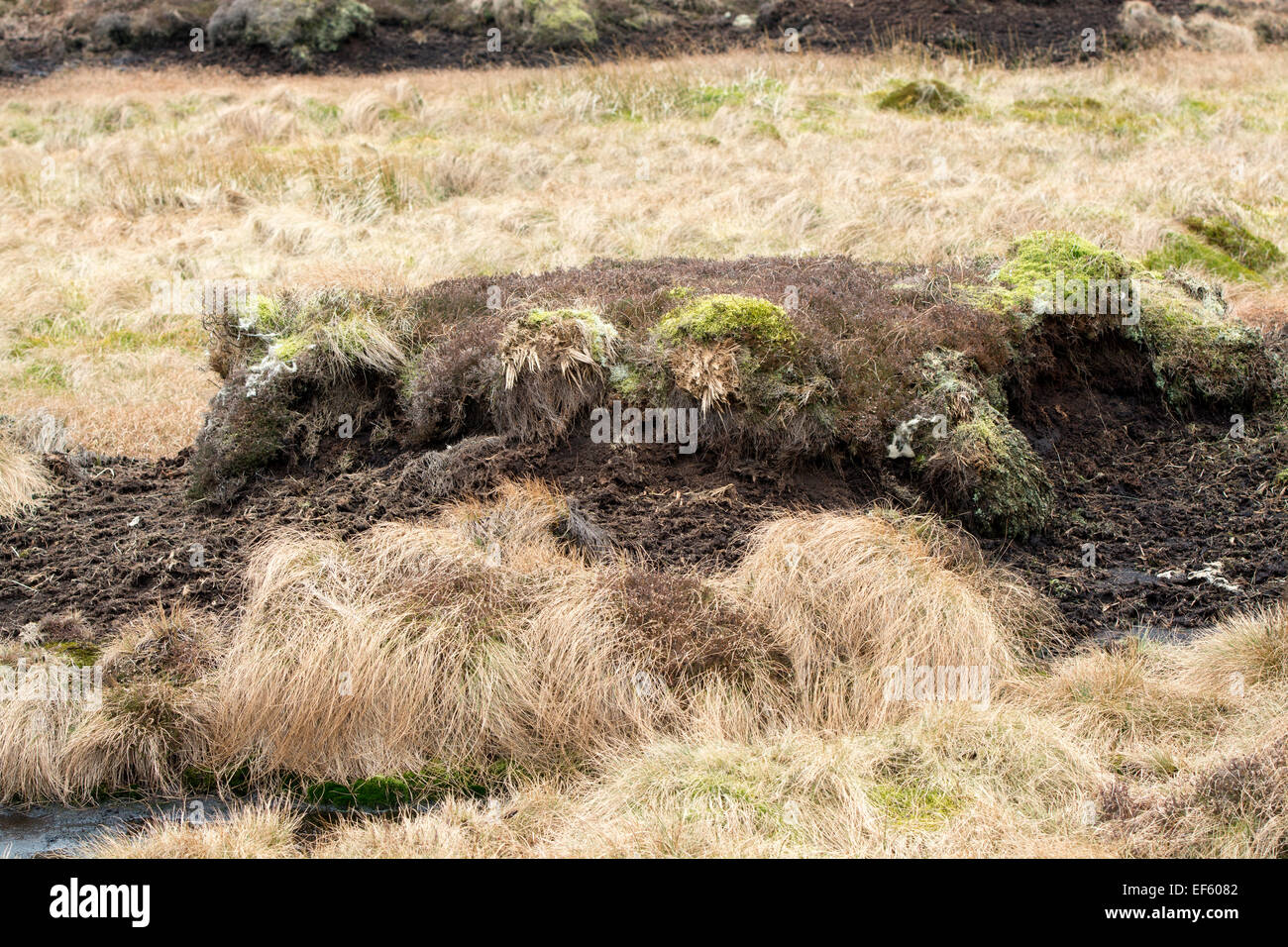 Exposed peat bog on moorland, North Yorkshire, UK Stock Photo - Alamy