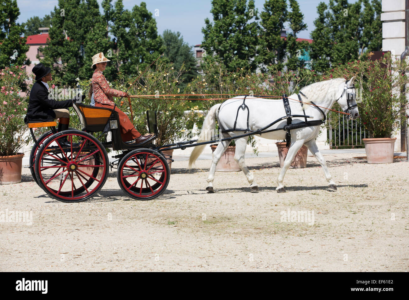 International competition for traditional carriages "La Venaria Reale ...