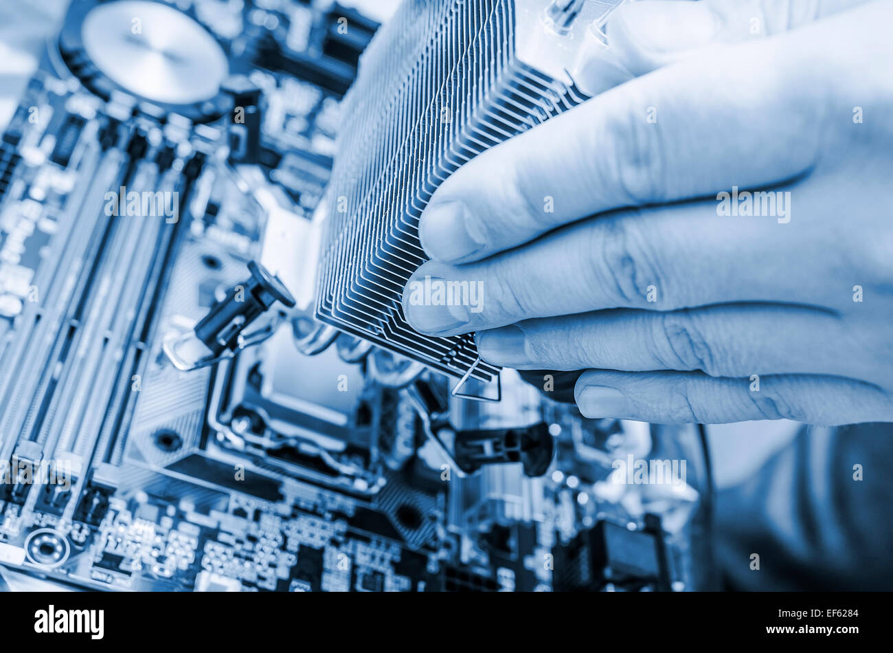 Hand installing the computer chip Stock Photo - Alamy