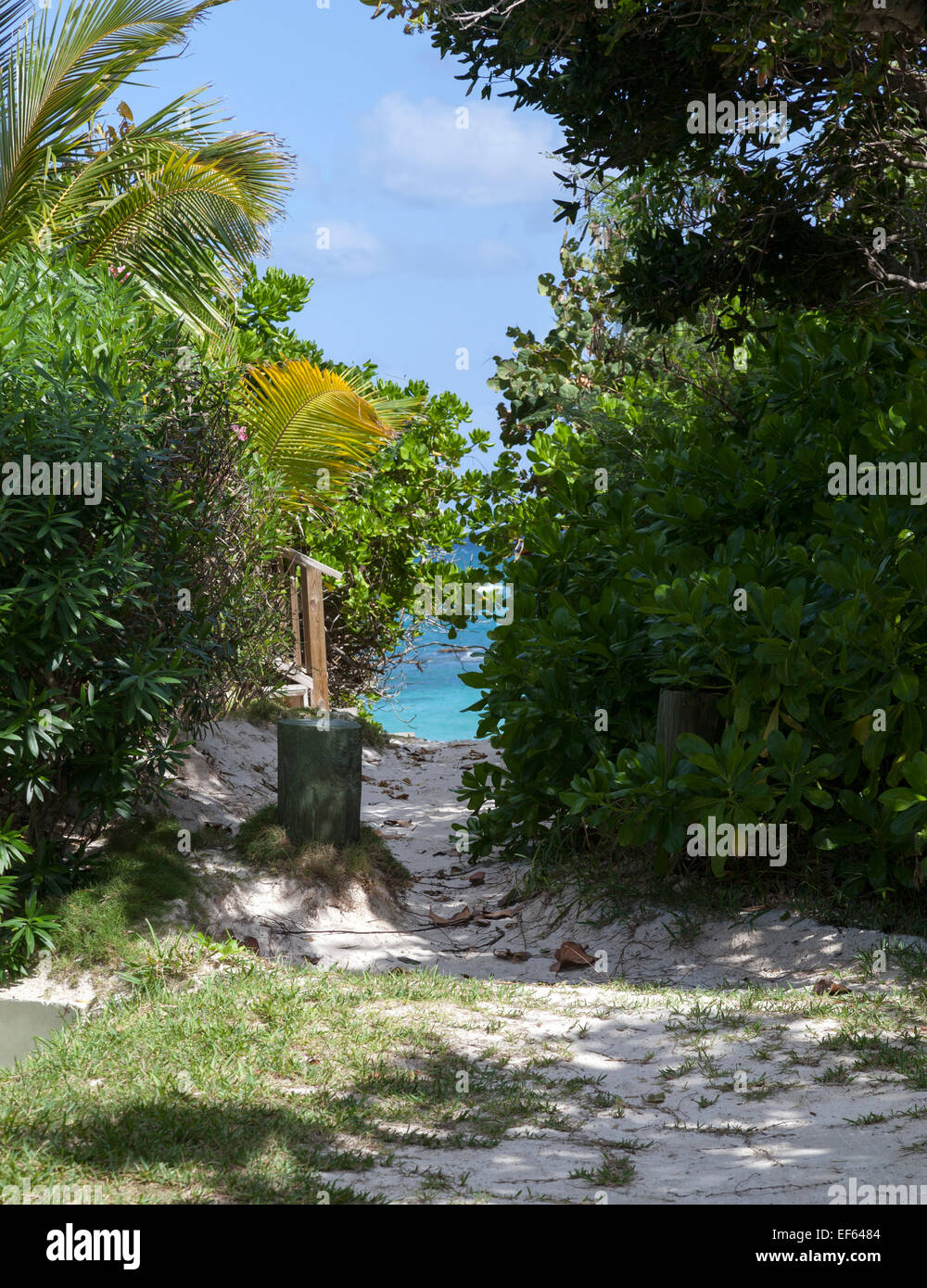 Pathway to the beach on Harbour Island in the Bahamas Stock Photo - Alamy