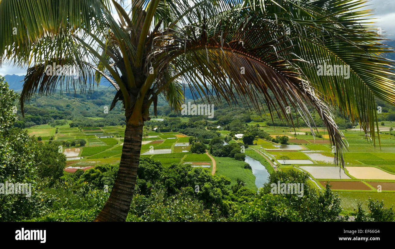Hanalei valley hi-res stock photography and images - Alamy