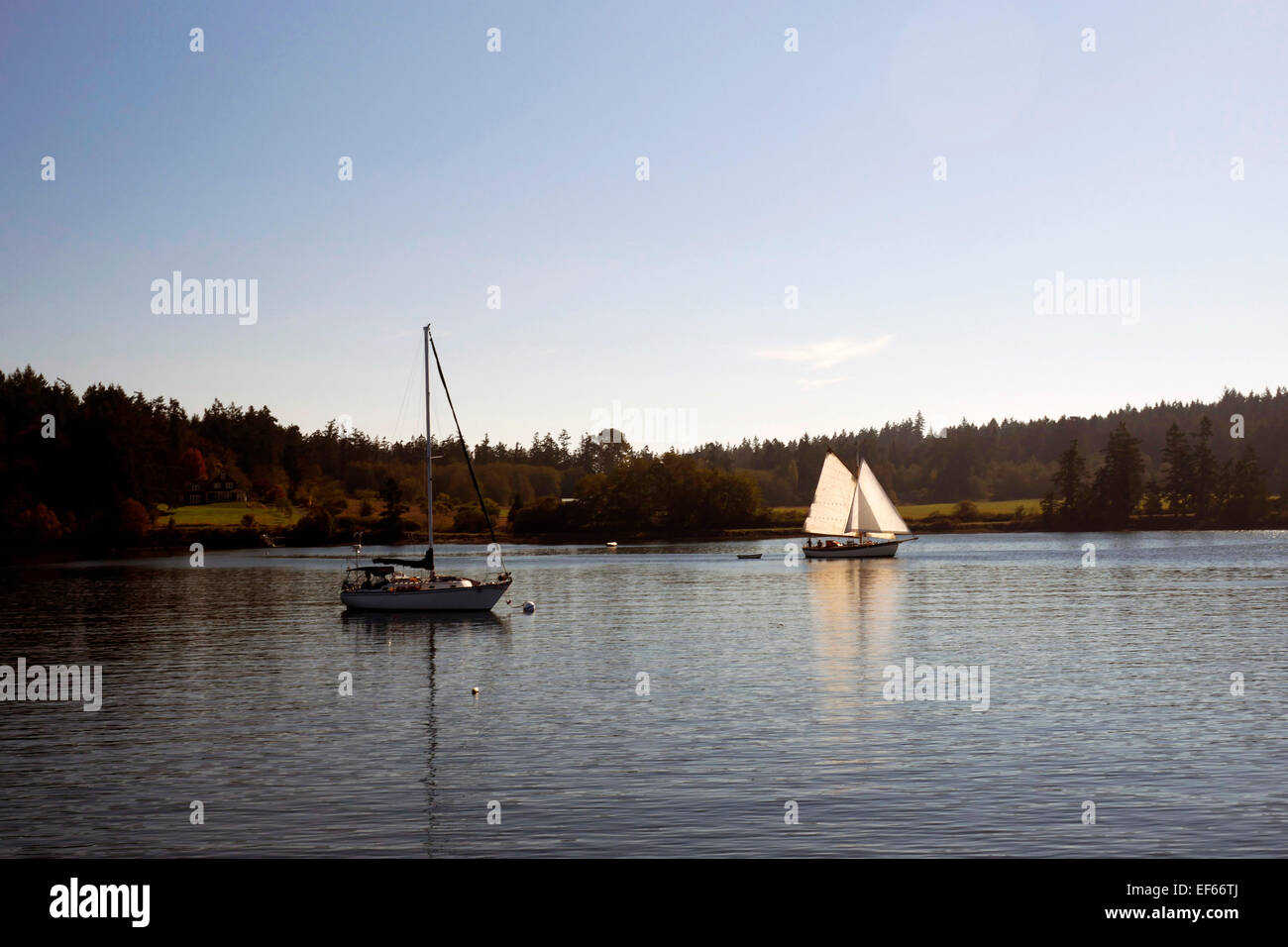 Sailboat, Blind Bay, Shaw Island, San Juan Islands, Puget Sound ...
