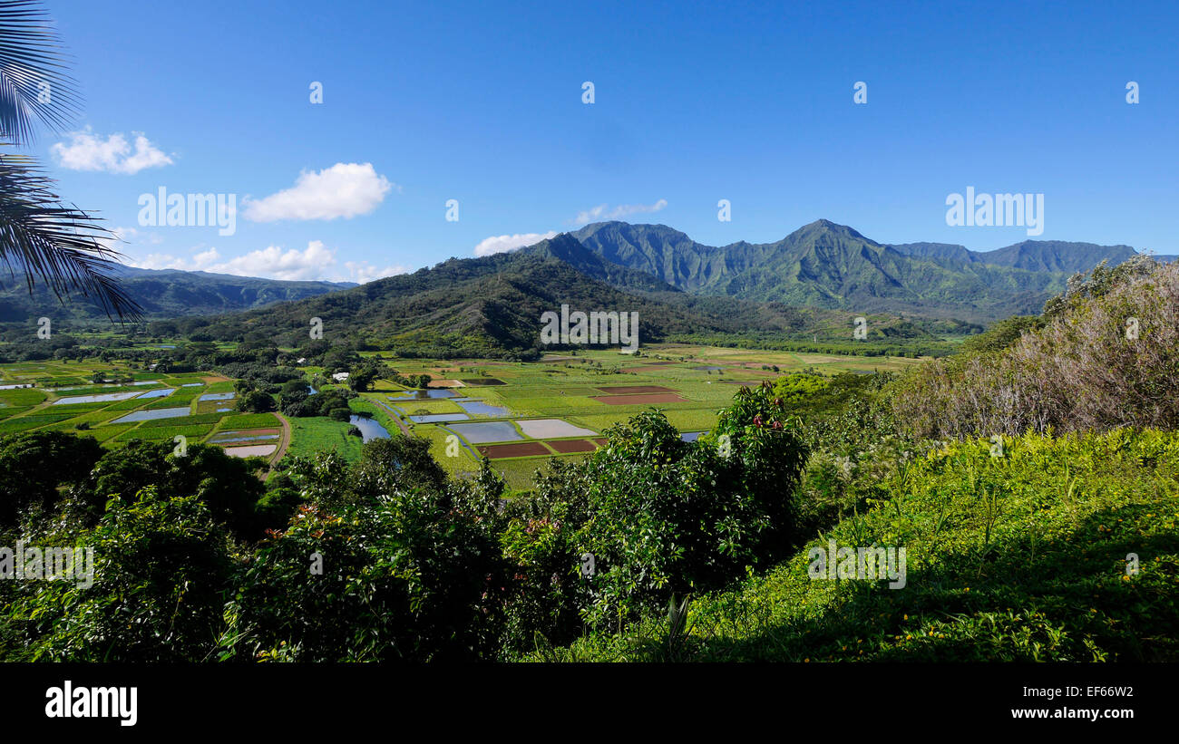 Hanalei valley hi-res stock photography and images - Alamy