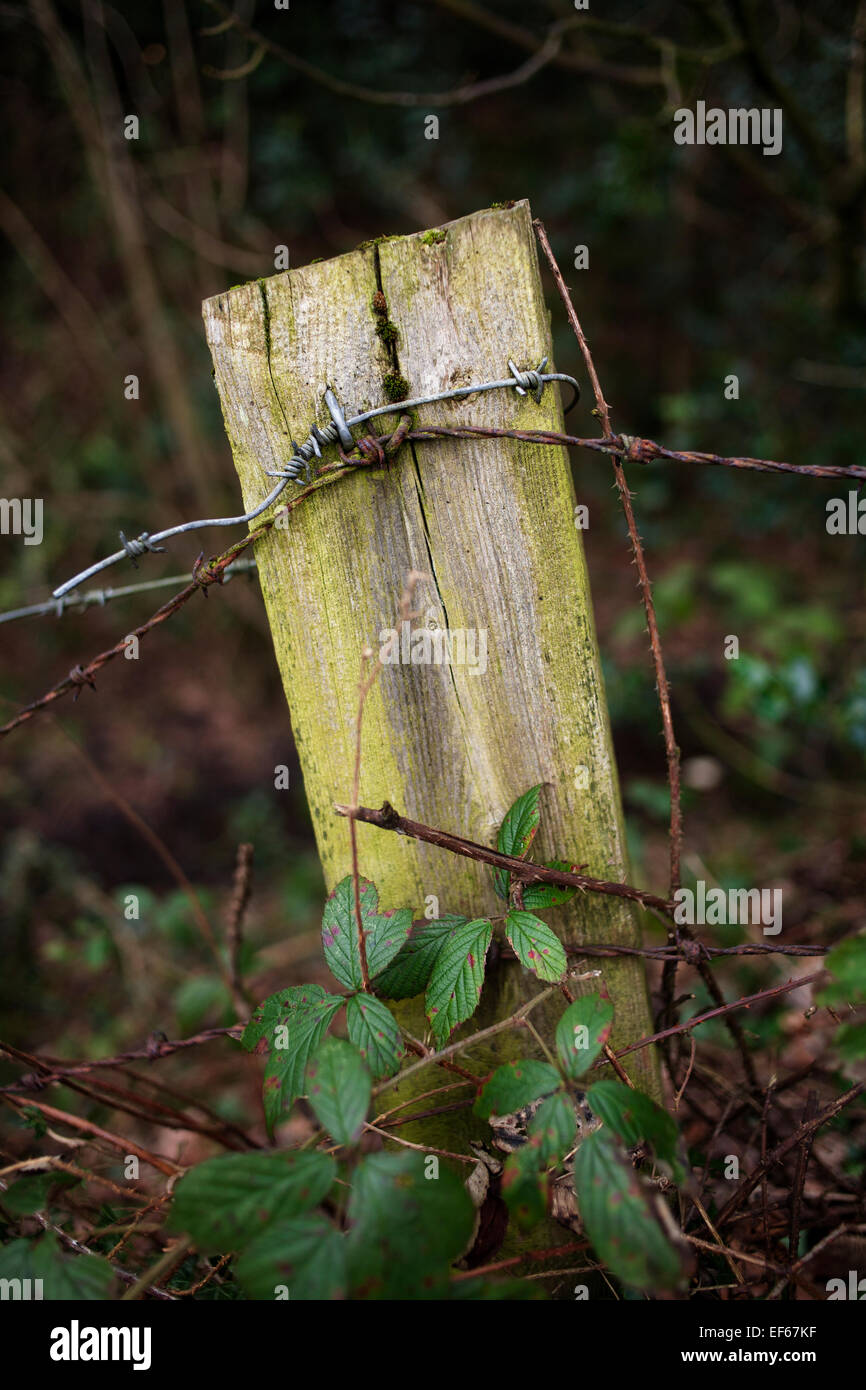 Old fence post hi-res stock photography and images - Alamy