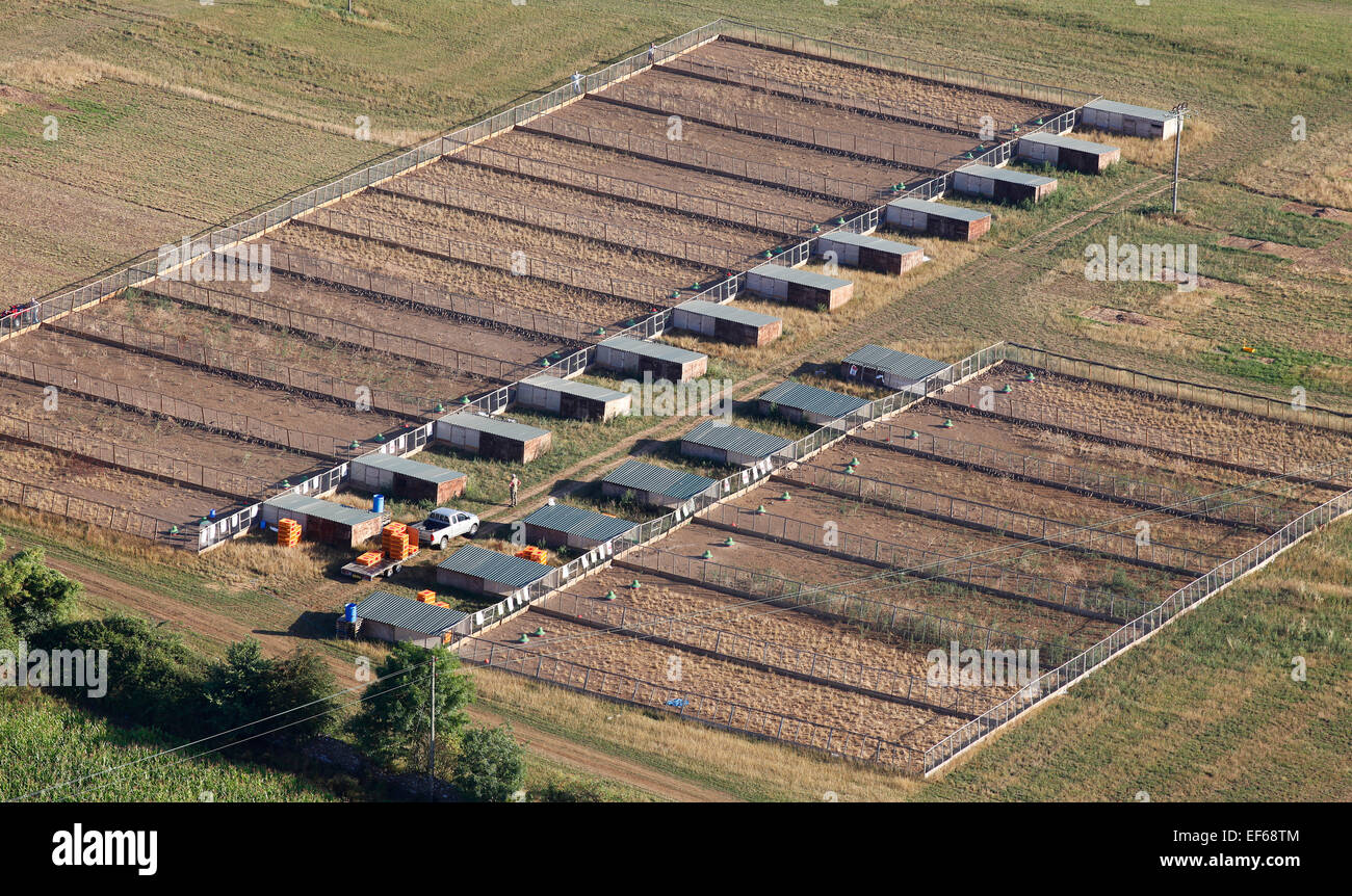 Aerial view of an outdoor free range poultry farm in England, UK Stock ...