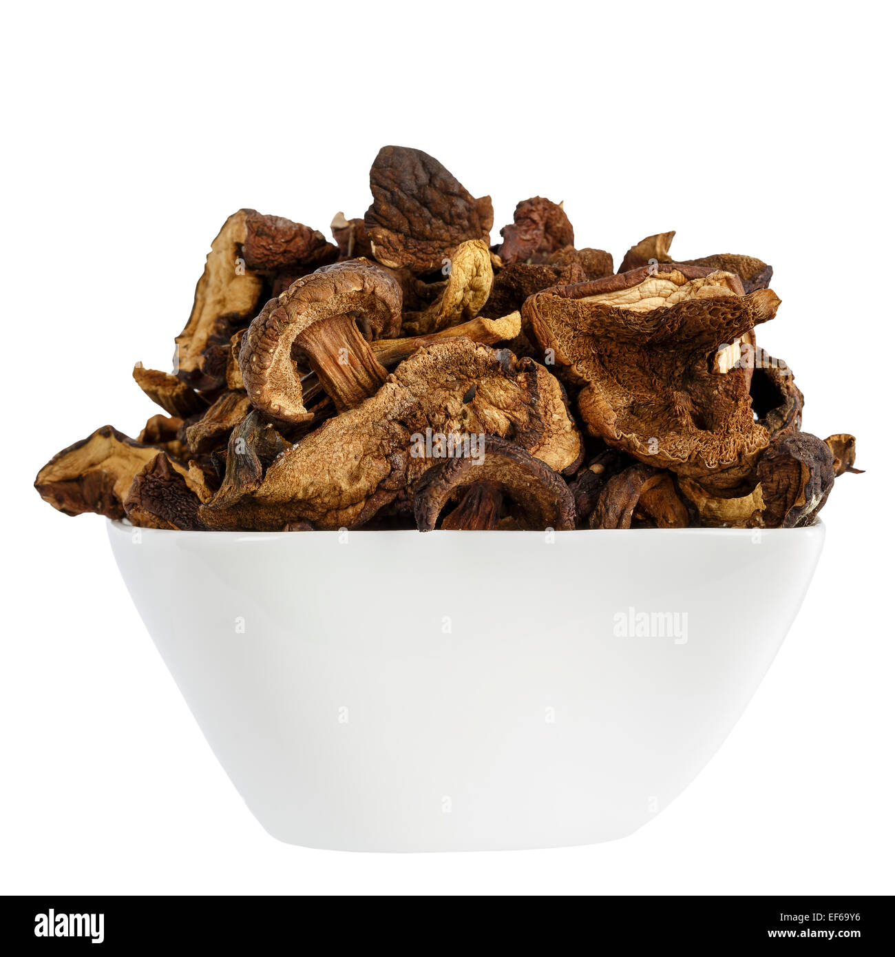 Fungus dish Cut Out Stock Images & Pictures - Alamy