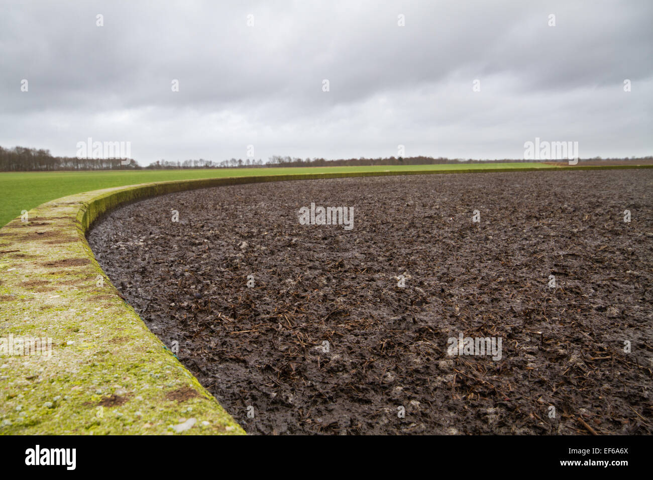 Storage of manure Stock Photo - Alamy