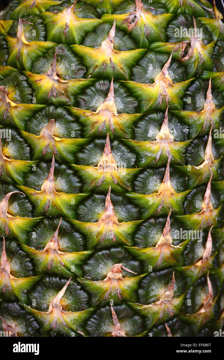 Pineapple close up pattern hi-res stock photography and images - Alamy