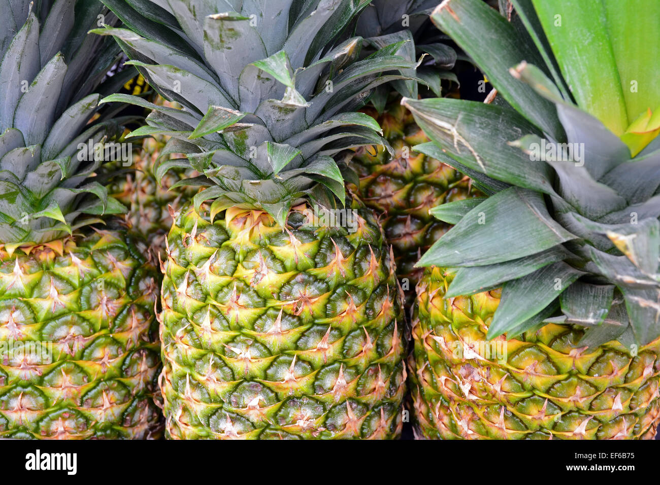 Ananas in the market Stock Photo - Alamy