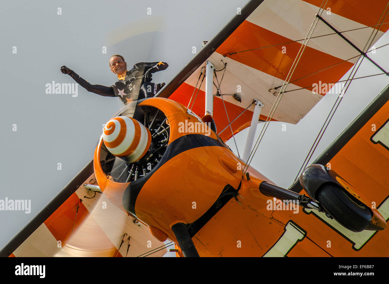 Emily wing hi-res stock photography and images - Alamy