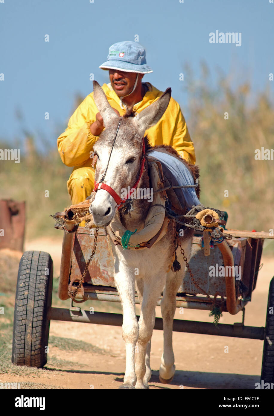 Donkey carriage hi-res stock photography and images - Alamy