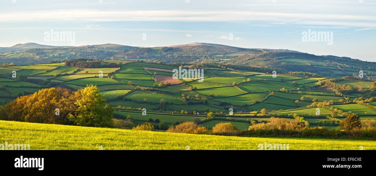 rural devon countryside Stock Photo - Alamy