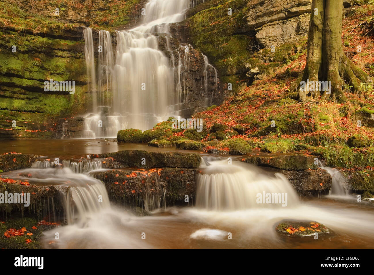 Scaleber foss waterfall Stock Photo - Alamy