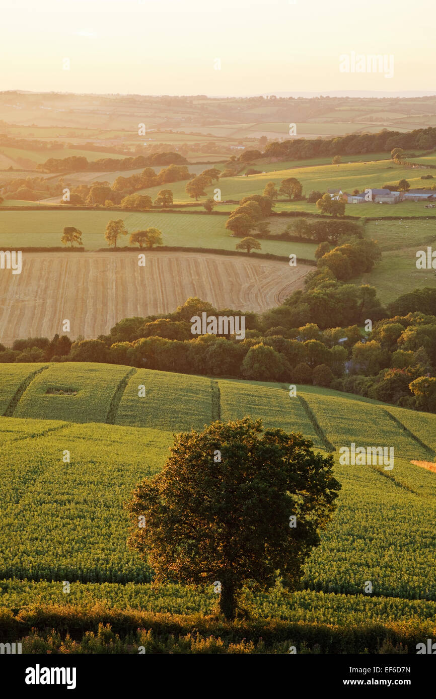 Sunset over rural farmland Stock Photo - Alamy