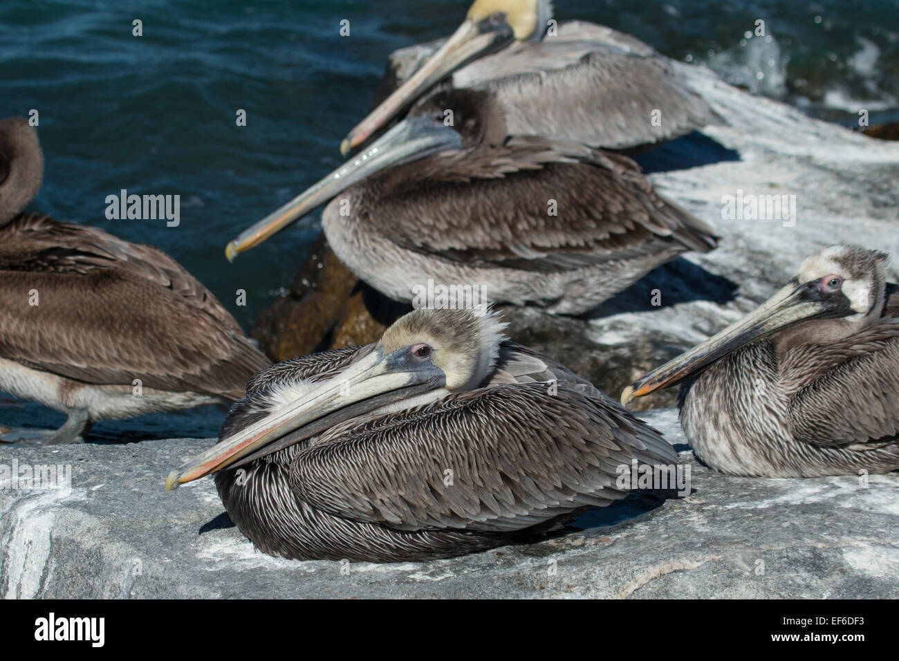 Fort pierce inlet hi-res stock photography and images - Alamy