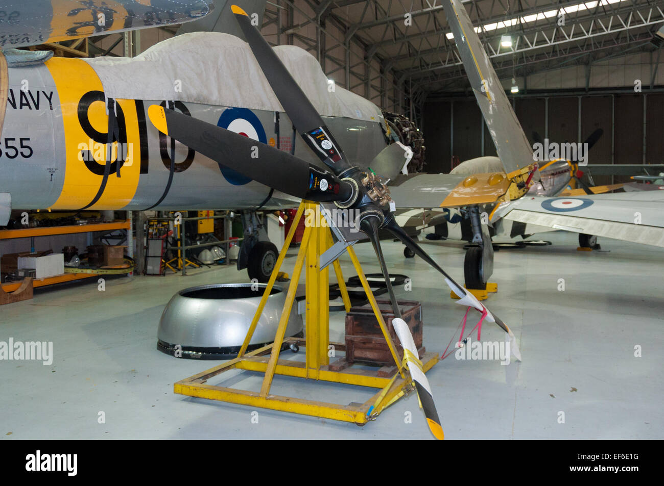 Royal Navy Hawker Sea Fury T.20 WG655 restored, Duxford, IWM Stock ...