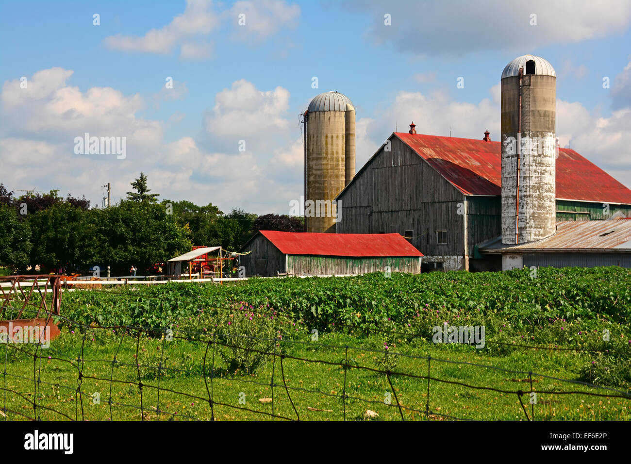 Ranch, North America Stock Photo - Alamy