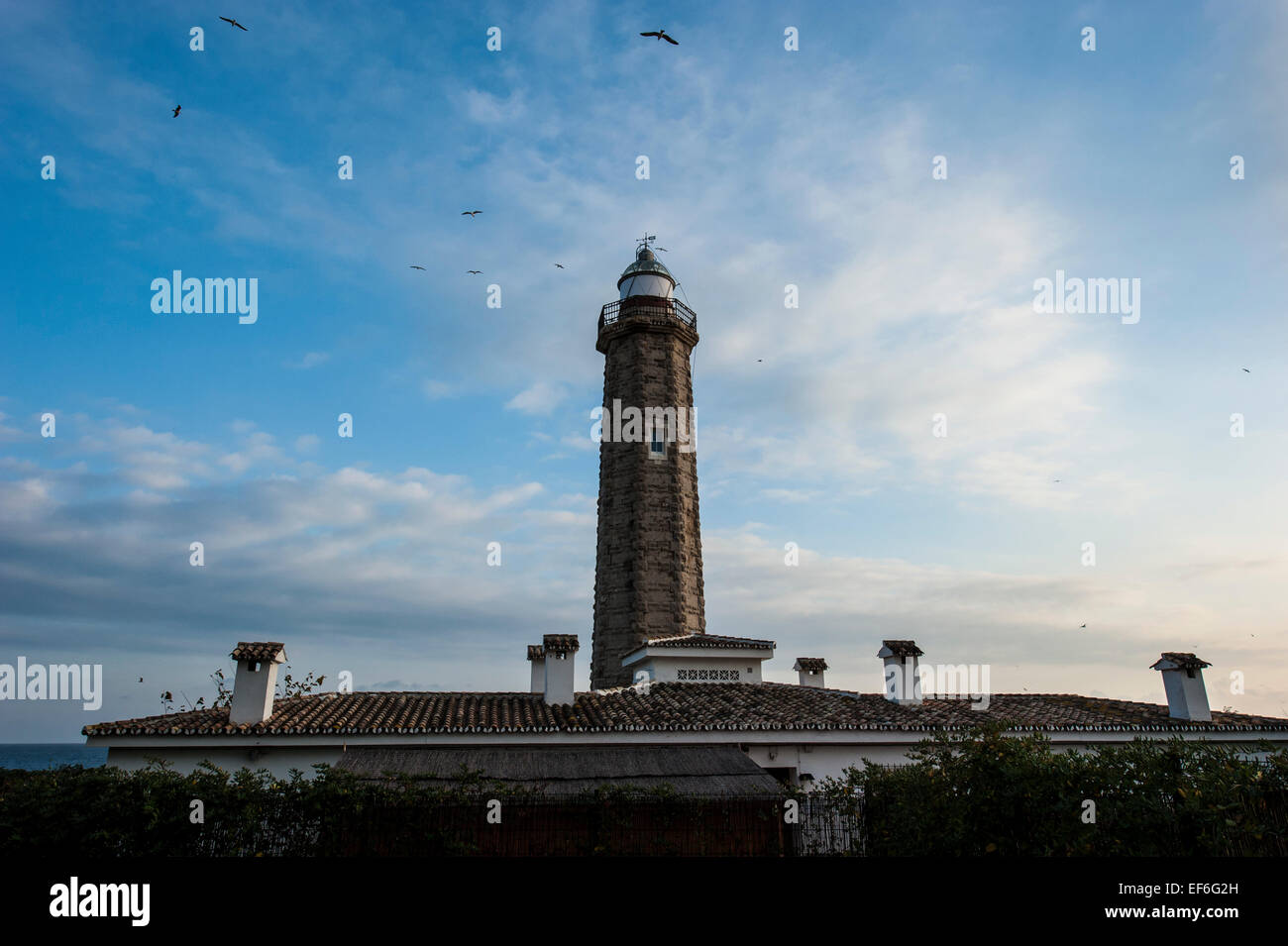 Port of estepona hi-res stock photography and images - Alamy