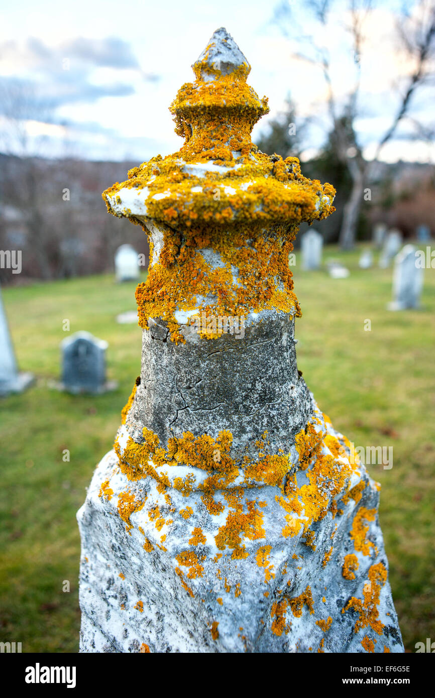 Lichen gravestone hi-res stock photography and images - Alamy