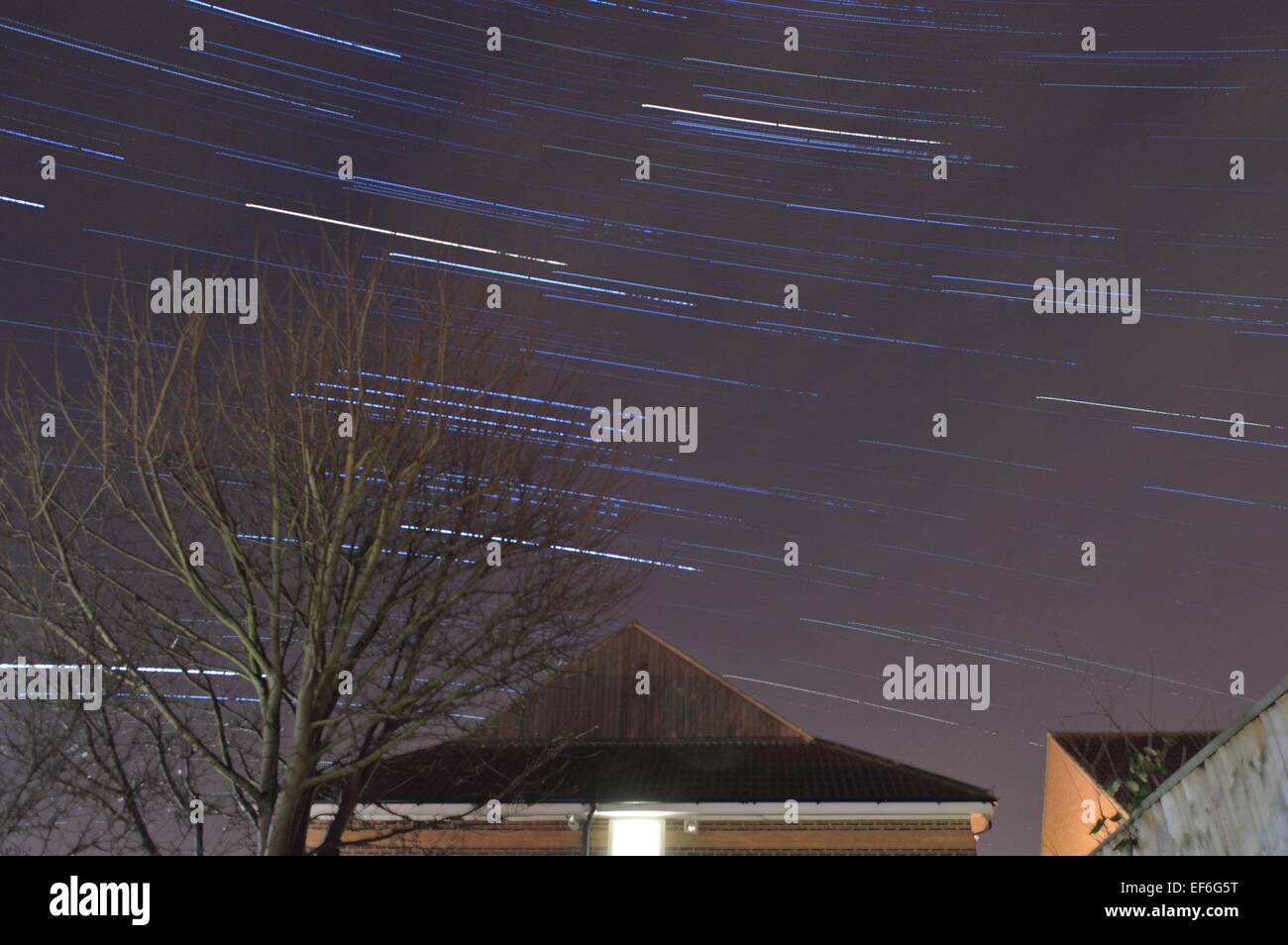 the orion constilation passing behind a tree in a star trail Stock ...