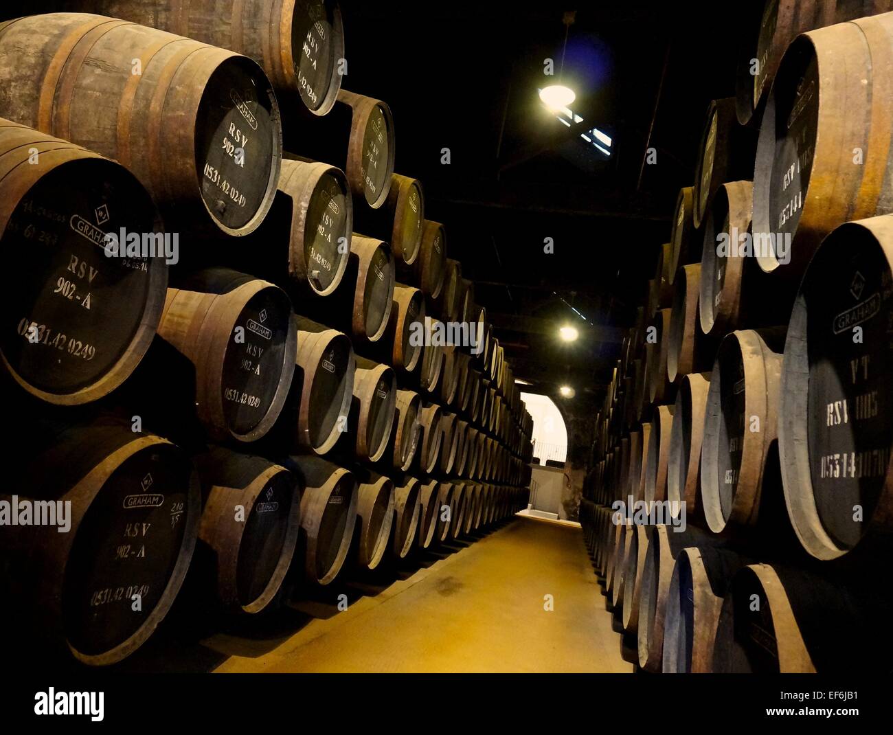 Port wine aging in wood barrels in cave cellar Stock Photo - Alamy