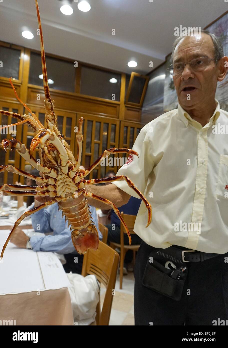 Live giant lobster in Lisbon seafood restaurant Stock Photo - Alamy