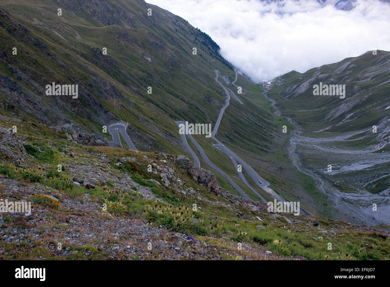 Stelvio Pass Italy Alps Stock Photo - Alamy