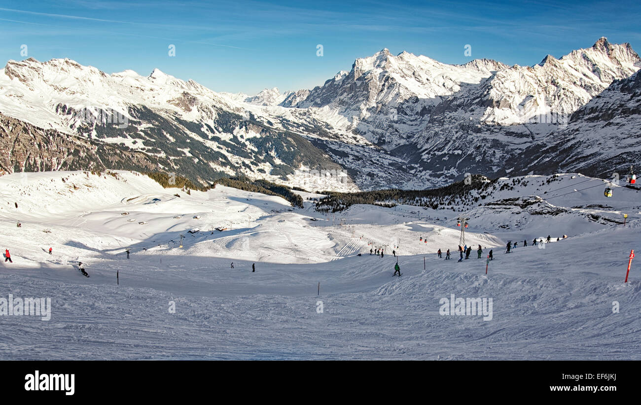 Men and women on ski and snowboards in recreational activities at ...