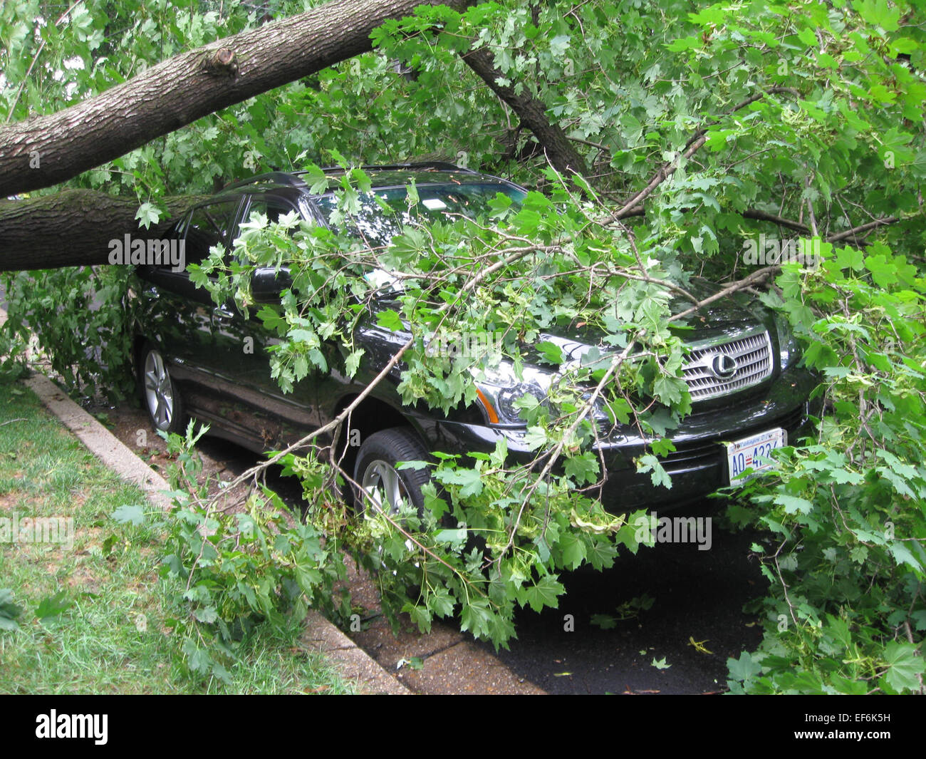 Vehicle tree fallen hi-res stock photography and images - Alamy