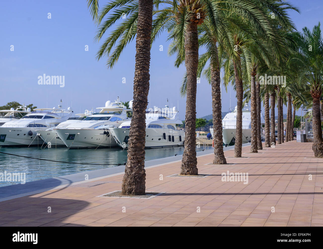 Boats in the yacht harbor puerto portals hi-res stock photography and ...