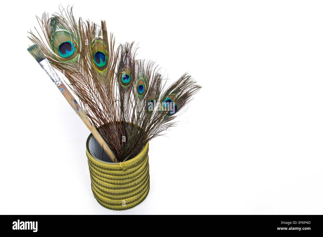 Bird can not dorink Cut Out Stock Images & Pictures - Alamy